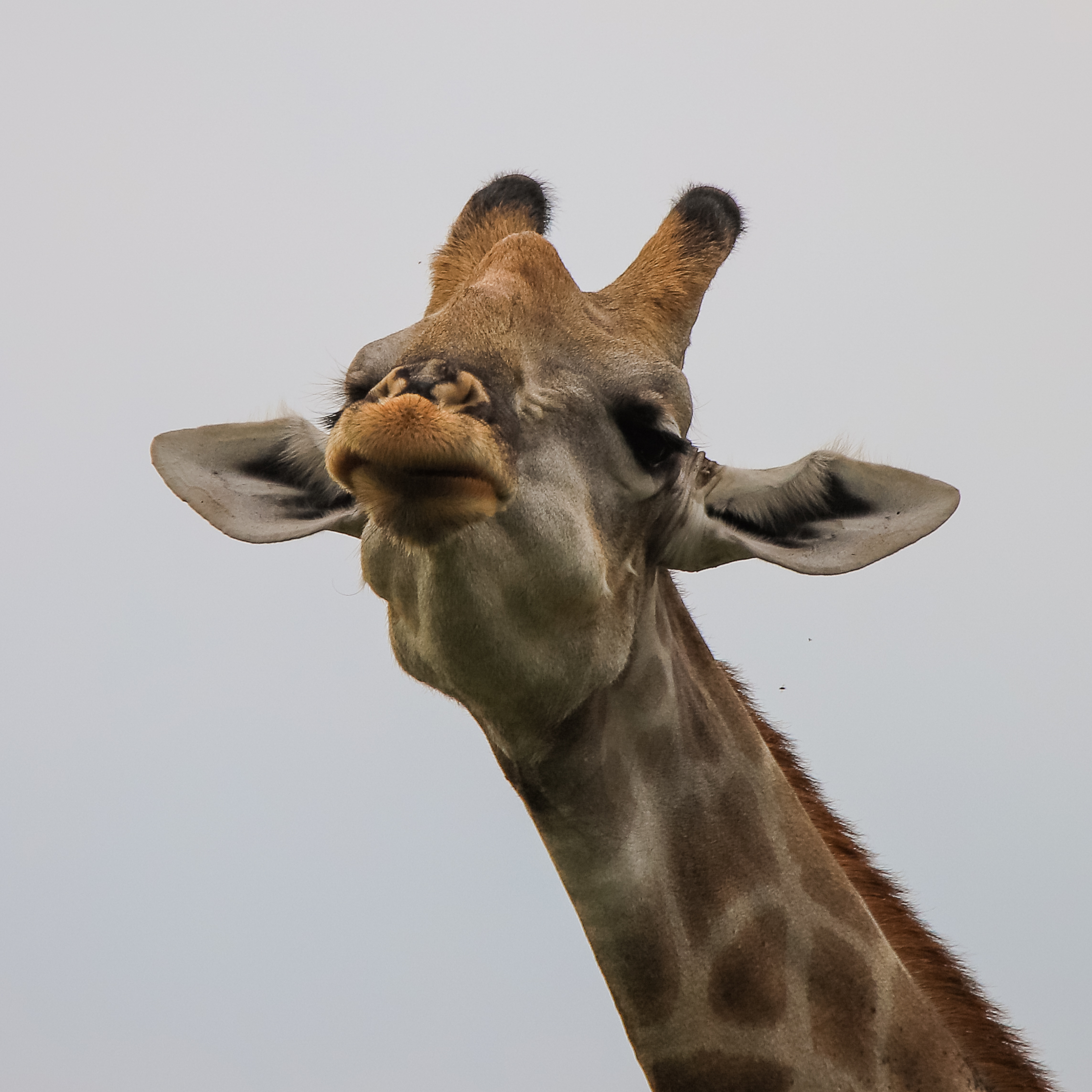 We LOVE what we DO and we do it wholeheartedly! - Recent News