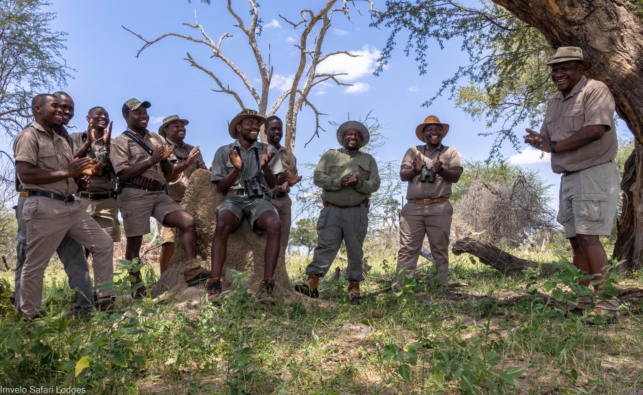 Discover the Wonders of Hwange National Park - Recent News